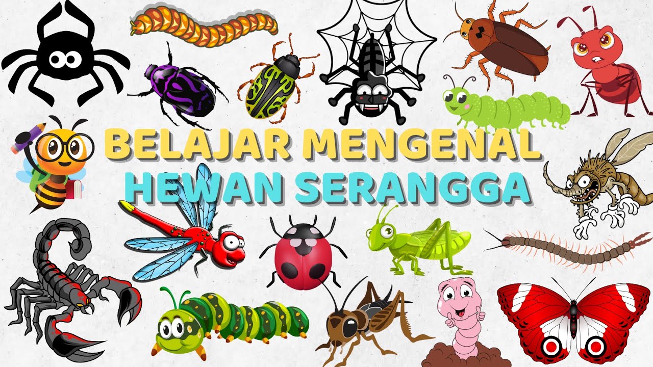 BELAJAR MENGENAL NAMA-NAMA HEWAN SERANGGA BAHASA INDONESIA & BAHASA ...