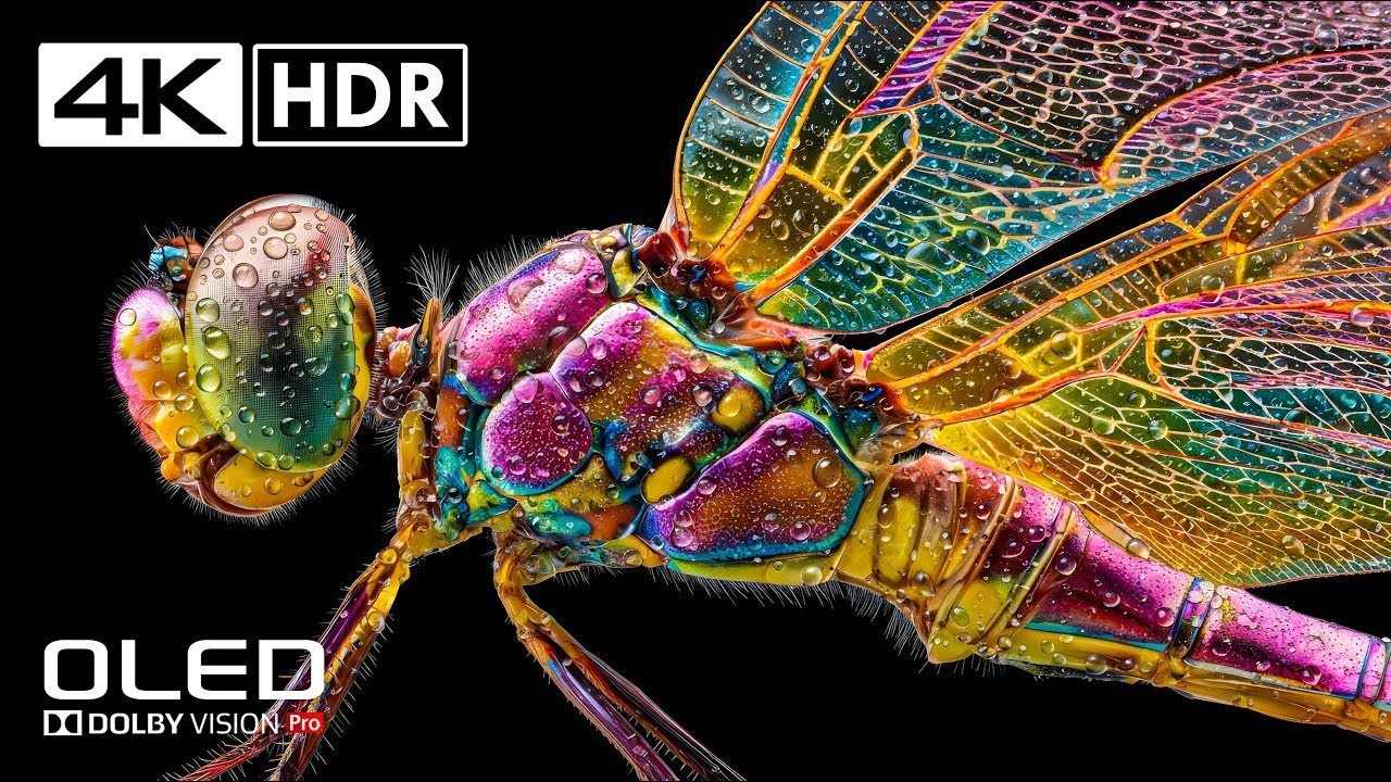 Incredible HDR in stunning 4K at 120 FPS - Dolby Vision (8K / 4K TV ...