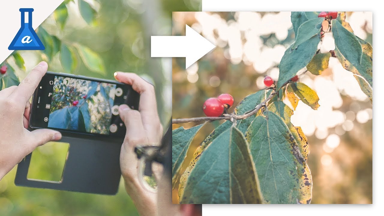 How To Take Aesthetic Smartphone Photos - Take Good Pictures with an ...
