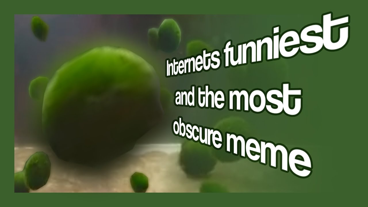 Moss balls: Internets funniest and most obscure meme - YouTube