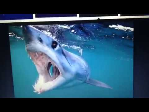 Shark Swarm part 4 (Bionicle Ep. 84) - YouTube