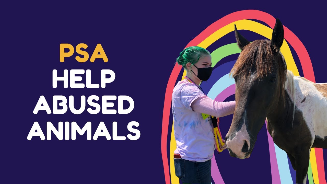 PSA: Help Abused Animals - YouTube