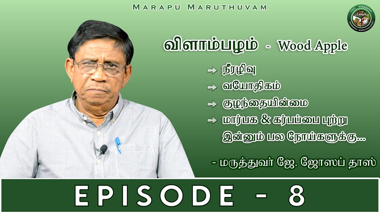 Vilampalam - Wood Apple for Diabetes | Ageing | Infertility | Breast ...