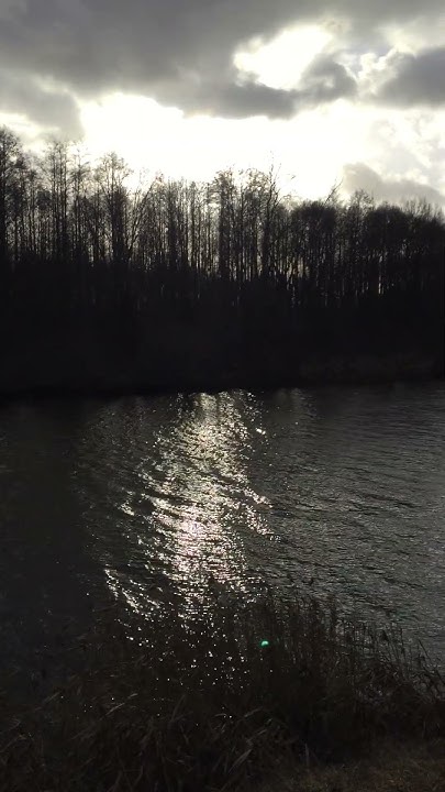 Природа. Блики солнца на воде.#natureshorts - YouTube