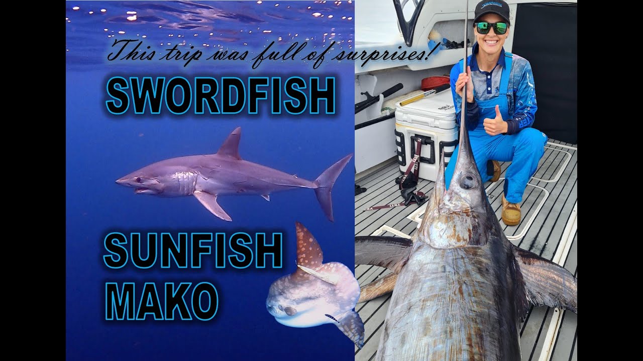 SWORDFISH. SUNFISH. MAKO. This trip was full of surprises! - YouTube