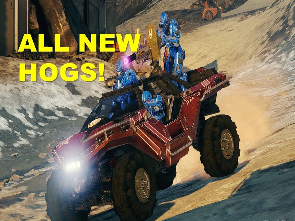 "VESPIN, RALLY, SWORD NEEDLER HOG GAMEPLAY!" - Halo 5 Hog Wild all hog ...