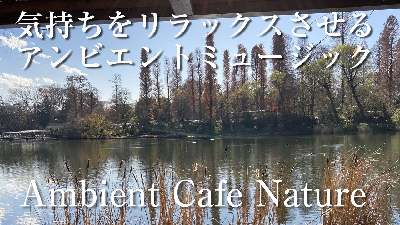 気持ちをリラックスさせるアンビエントミュージック Ambient Cafe Nature - YouTube