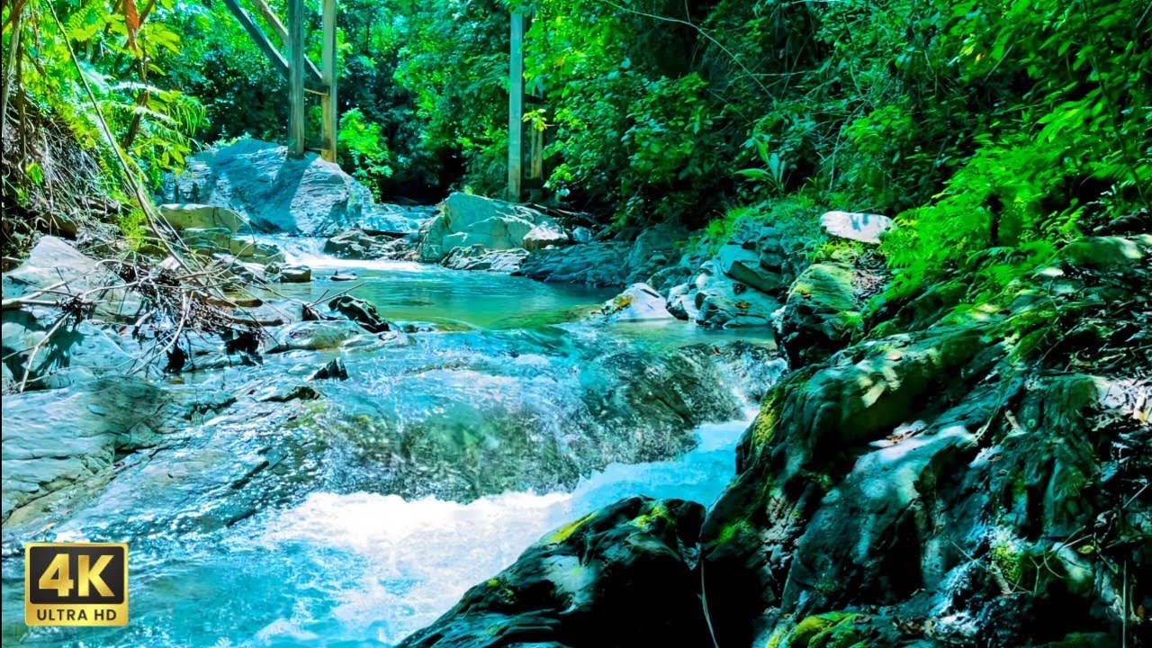 Nature Meditation: Relaxation Music and River Flow Sounds." - YouTube