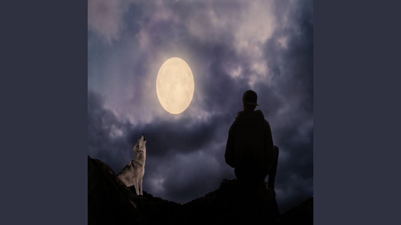 Night Prowler - Wizard2444: Song Lyrics, Music Videos & Concerts