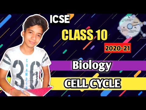 Cell cycle ,cell division and structure of chromosomes-Part 1//ICSE ...