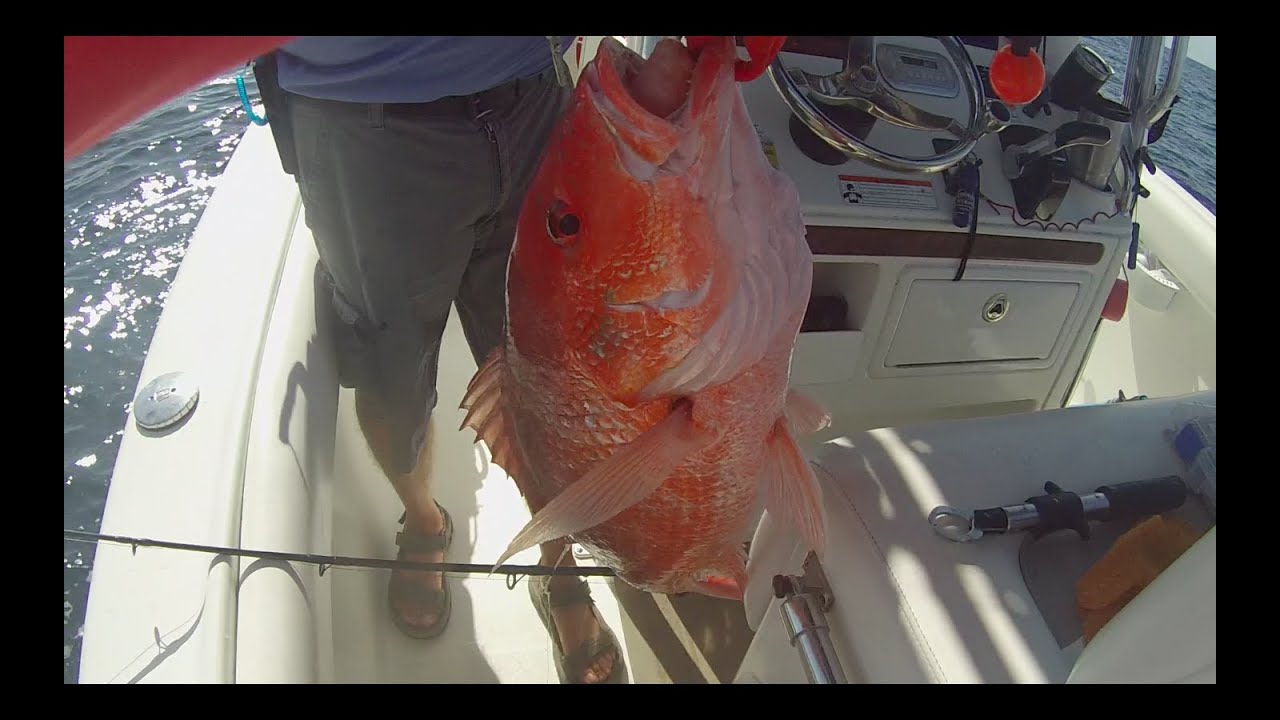 Opening Day Red Snapper Season 2022 Destin, Florida: Monster Red ...