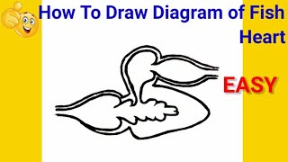 Fish Heart Diagram