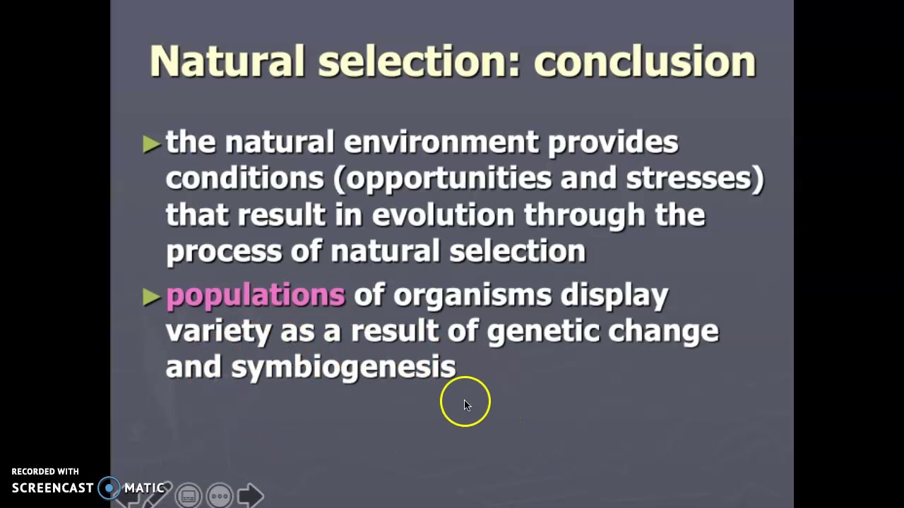 Natural Selection - YouTube