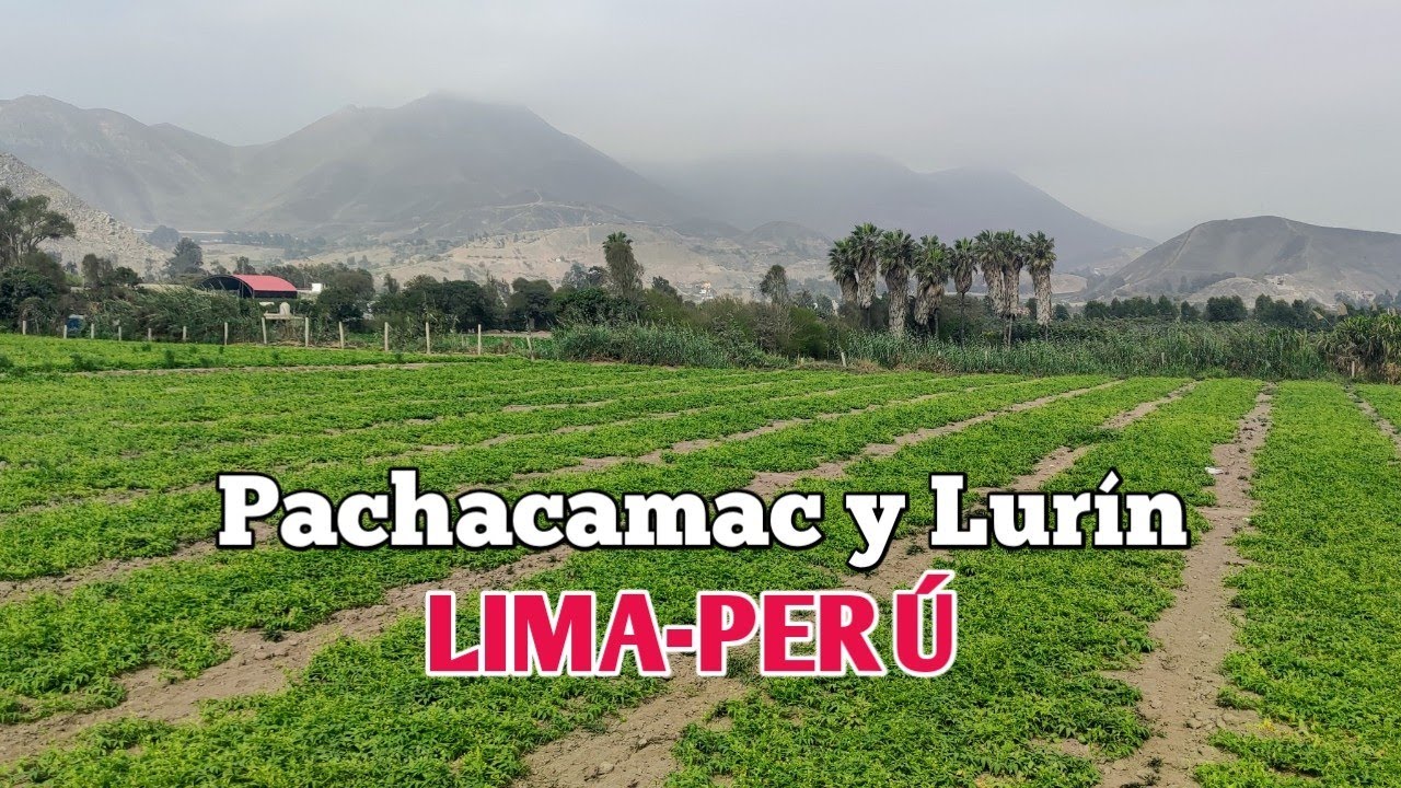 LIMA PERÚ:UN RECORRIDO POR LOS DISTRITOS DE PACHACAMAC Y LURÍN:11 DE ...