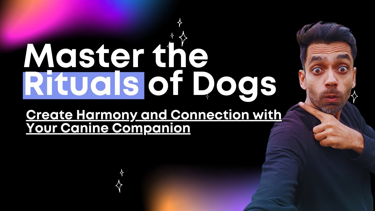 Master the Rituals of Dogs: Create Harmony and Connection with Your ...