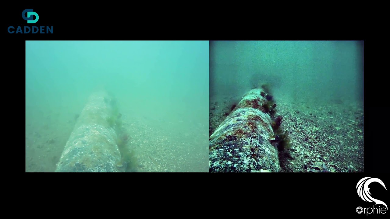 [pipeline] Orphie camera comparison - YouTube