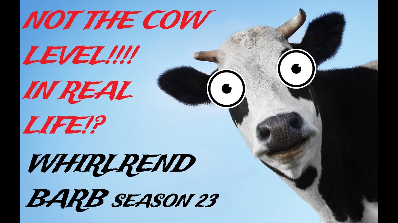 Not The Cow Level... - YouTube