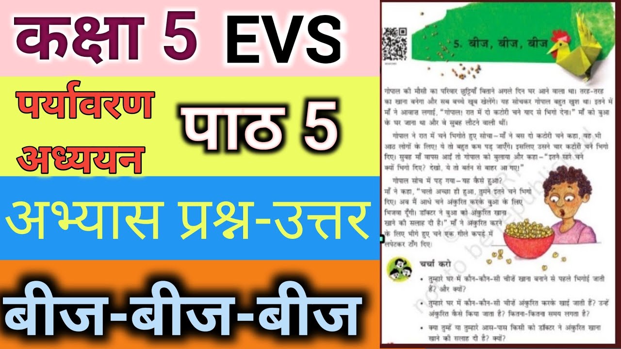 class 5 evs chapter 5 ( बीज ,बीज ,बीज ) | class 5 EVS chapter 5 ...
