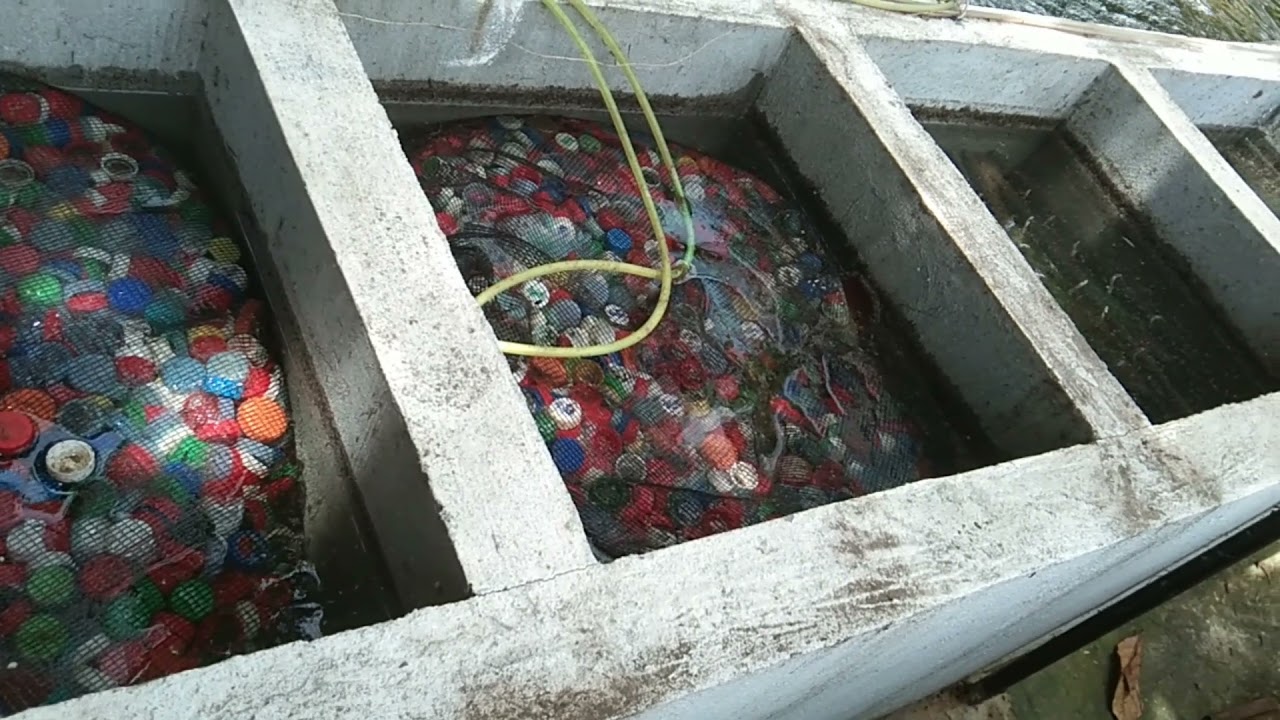 Gravity Filter System Koi Pond - YouTube