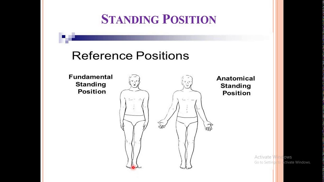 Kinesiology Lec 22, Starting positions by Dr. Asmar for DPT 1st ...