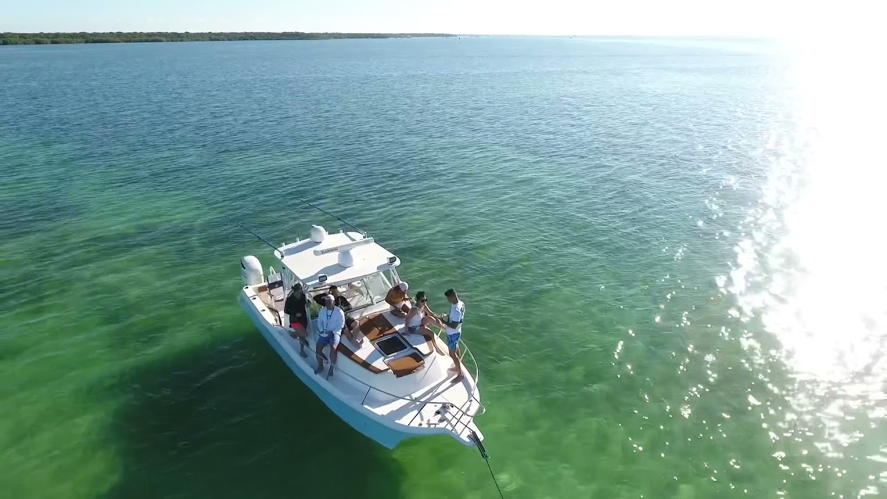 Elliot key sandbar view from the sky 🤗 - YouTube