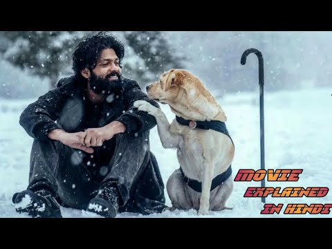 777 Charlie Full Movie Explained In Hindi |