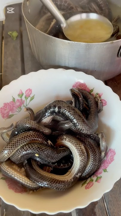 Snake soup #snake #cooking #best #shortsvideo - YouTube