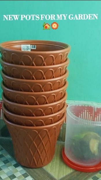 Pots/Planters#viralvideo#pots#planter#flowers#garden#shopping#meesho# ...