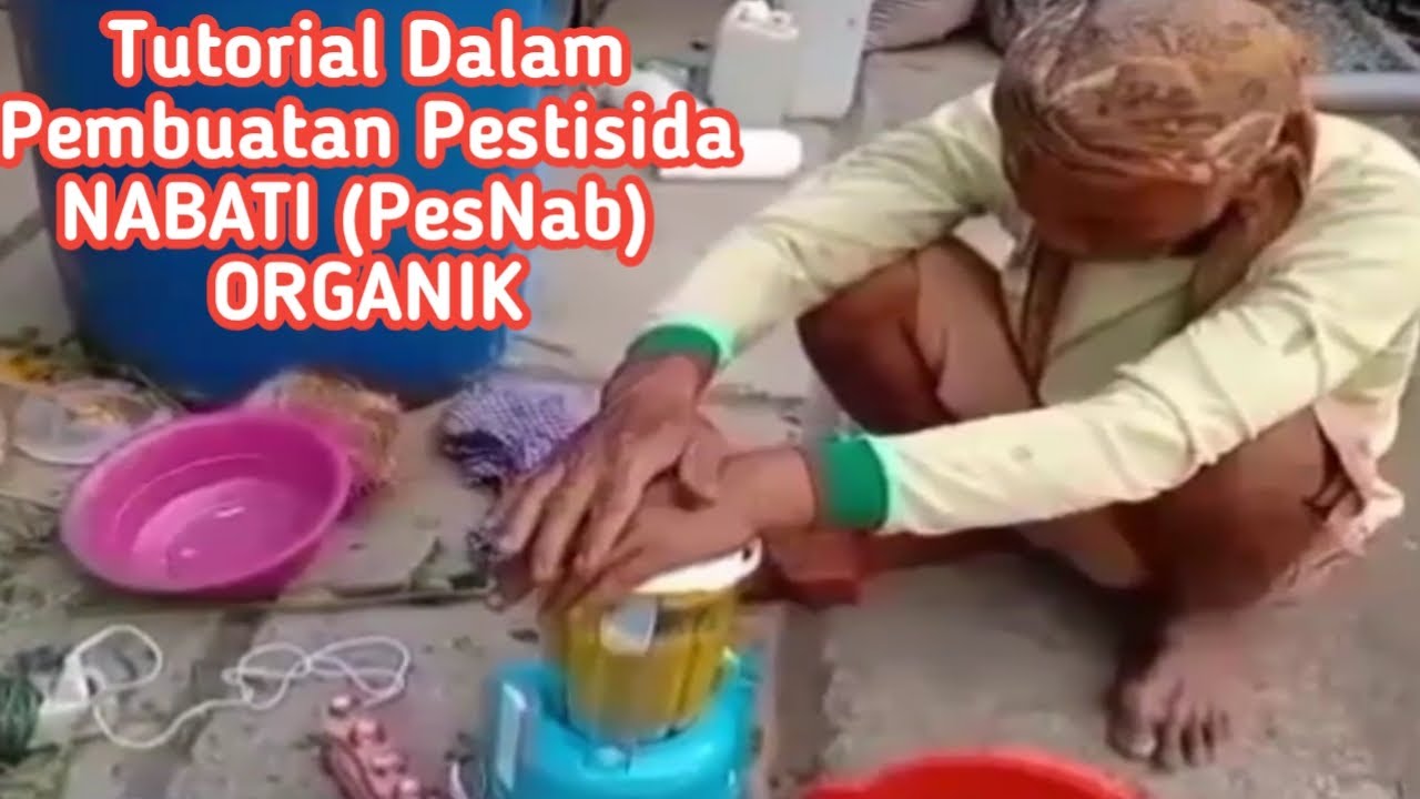 Cara Membuat Pestisida Nabati (PESNAB) Organik. - YouTube