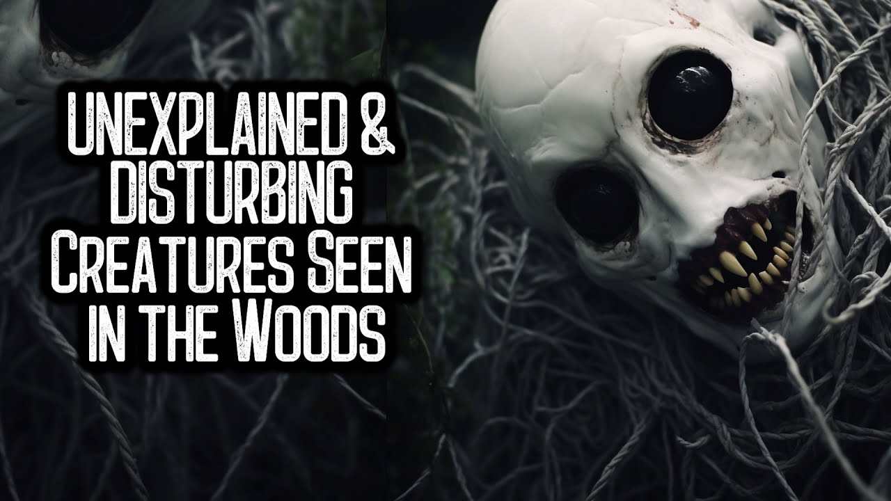25 UNEXPLAINED & DISTURBING Creatures Seen in the Woods - YouTube