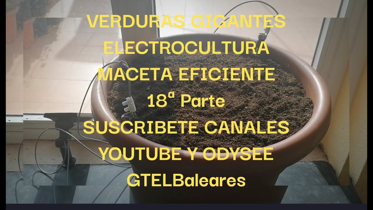 VERDURAS GIGANTES ELECTROCULTURA MACETA EFICIENTE 18ª Parte - YouTube