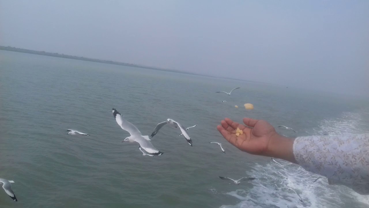 Sentmartin keyari sindabad সেন্টমার্টিন যাবার পথে - YouTube