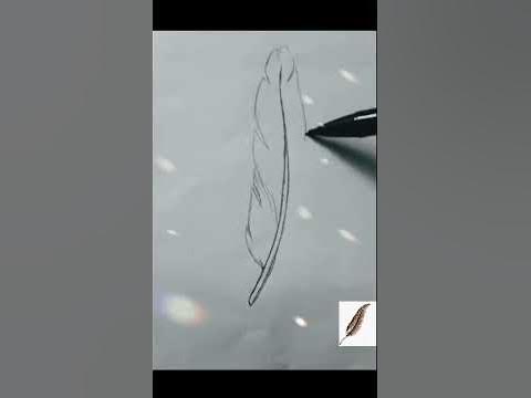 Cómo dibujar PLUMA de ave realista muy FÁCIL paso a paso 😁 #shorts | Trucos Lindos Shorts - YouTube