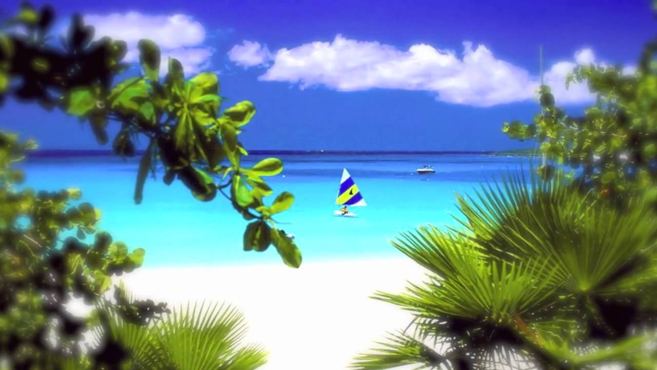 Pantha Vibes International {2010} - Anguilla HD - YouTube