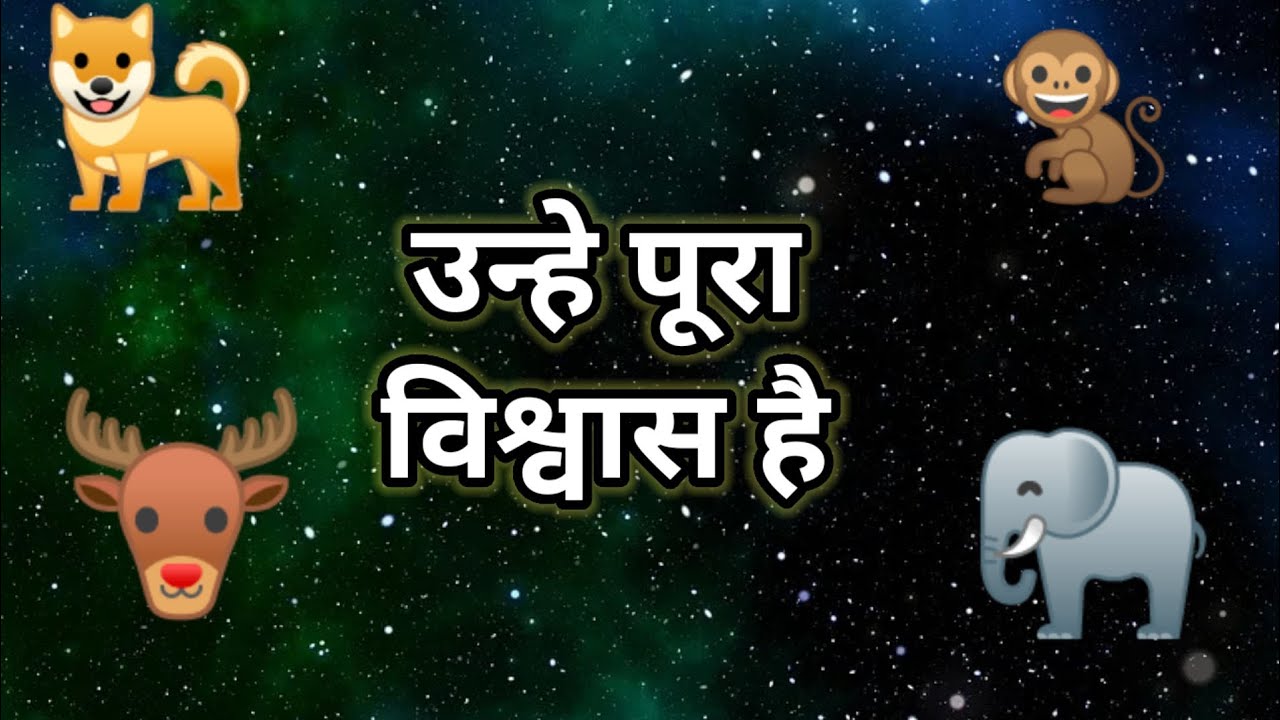 Choose one animal | love quiz | love quiz game today | love quiz ...