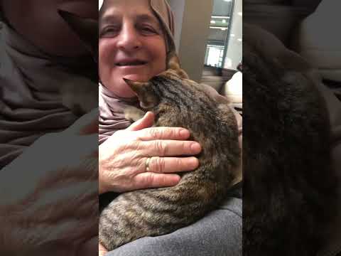 Annemin kedinin sevgisiyle imtihanı#hayvanlar #keşfet #kediler #hayvanlaralemi #