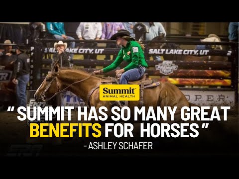 Ambassador Ashley Schafer - Top Barrel Horse Futurity Trainer - YouTube