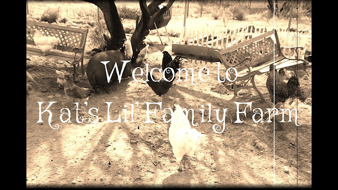 Our family farm: Introduction - YouTube