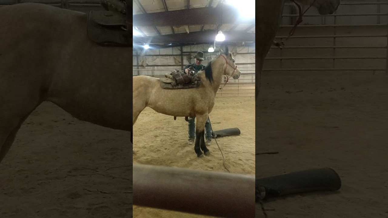 Colt starting - YouTube