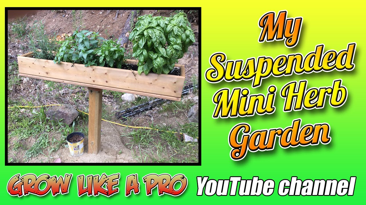 My Suspended Mini Herb Garden - YouTube