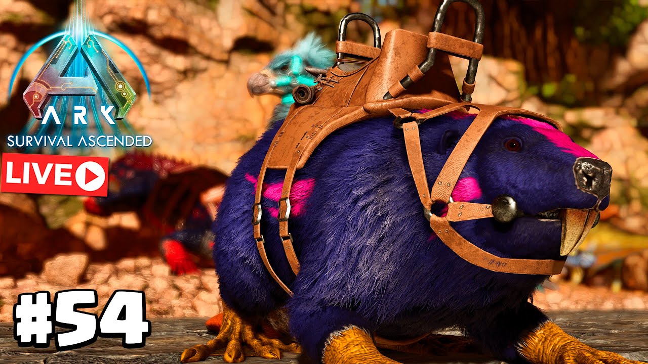 ARK MAS SÓ POSSO DOMAR DINOS COLORIDOS! - LIVE - ARK: SURVIVAL ASCENDED ...
