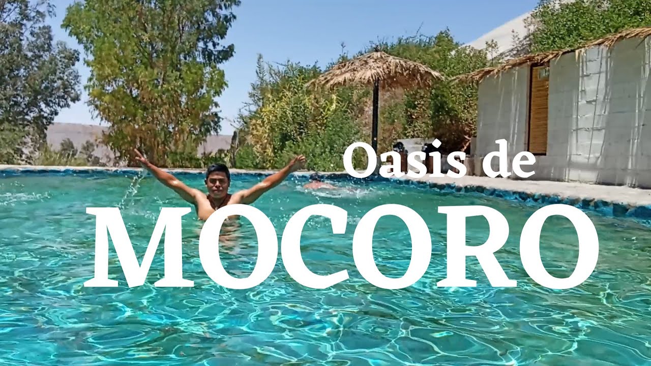 0asis de mocoro la joya -Arequipa 🌴🏞️ abnervlogs - YouTube