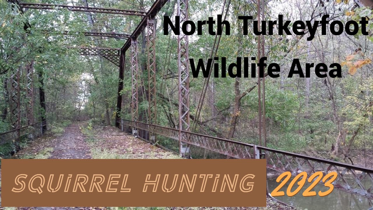 North Turkeyfoot 2023 - YouTube