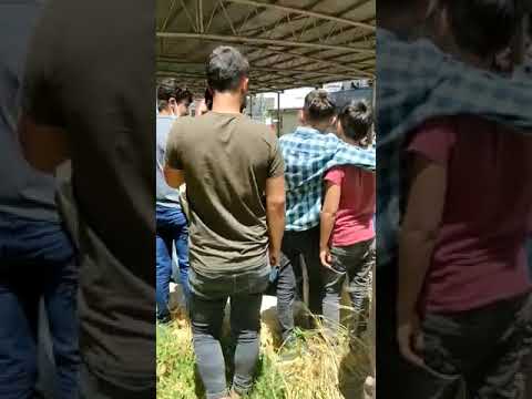 HATAY altınözü keskincik köyünde mübarek ramazan bayramında iki aile arasında kavga