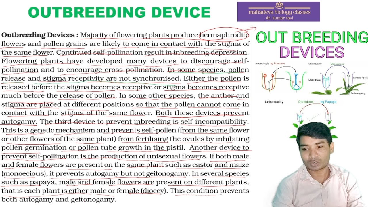 Outbreeding Devices #sexualreproductioninfloweringplantsclass12 - YouTube