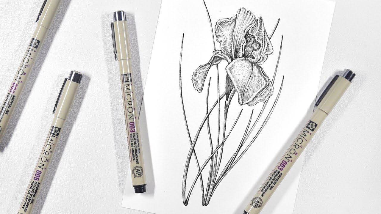 Iris Flower | Pen & Ink Drawing Process - YouTube