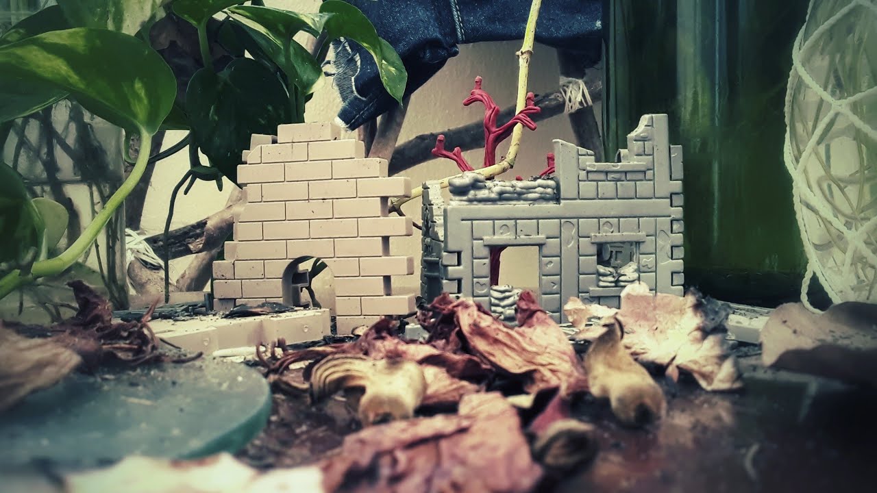 [MLP] The abandoned building (Short Film Remake) (garbage💀) - YouTube