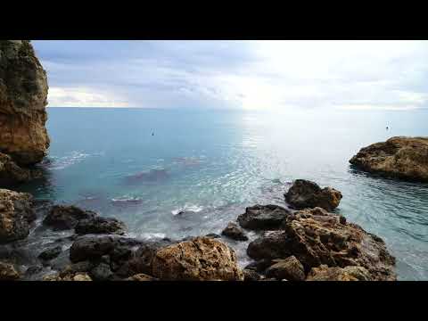 Mustafa Ceceli - Bekle [ Biz gülleri severdik dikenleriyle 🌹]