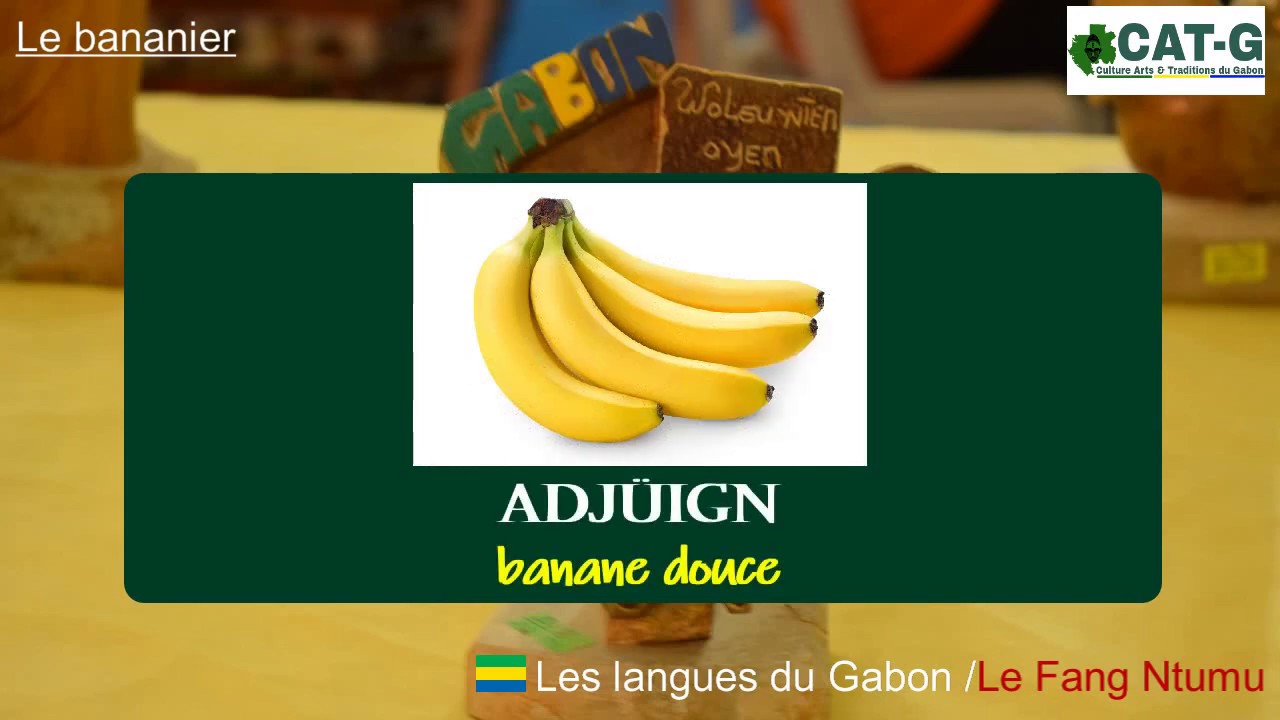 cours de vocabulaire fang (langue du Gabon) : le bananier - YouTube