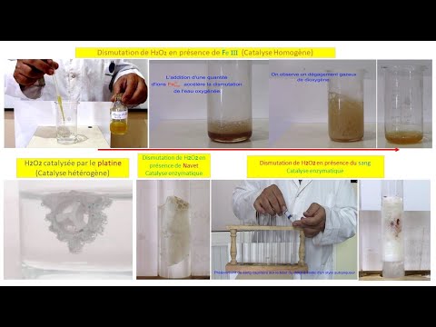 Catalyse homogène hétérogène et enzymatique 2eme Bac - YouTube